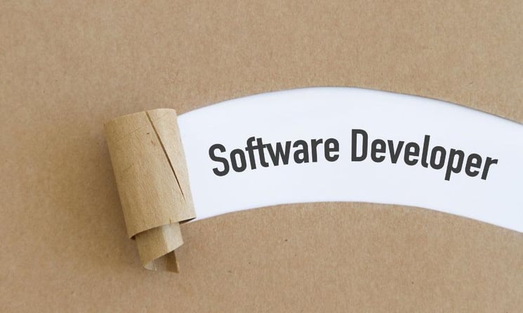 Softwareentwickler-Aufgaben | Das machen Developer | newvision